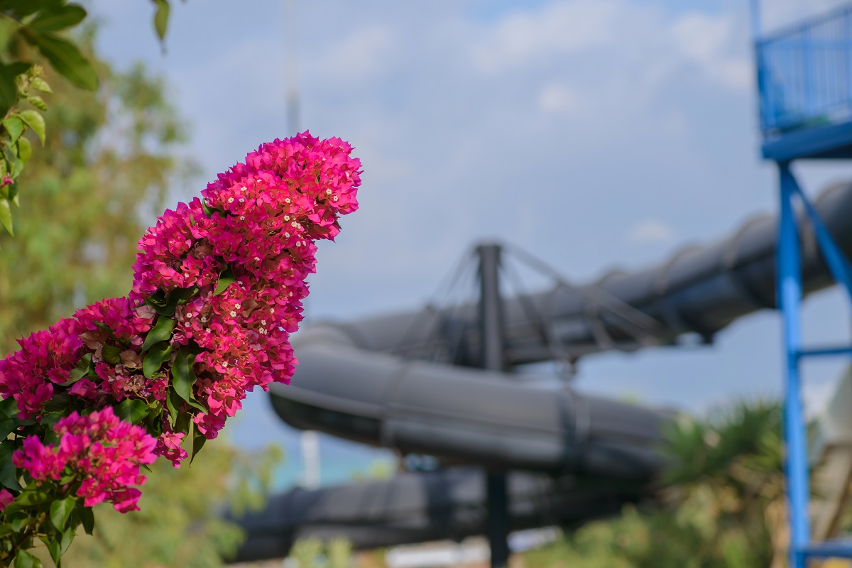 Water parks in Crete - dive into fun and adventure - Vivato Greece